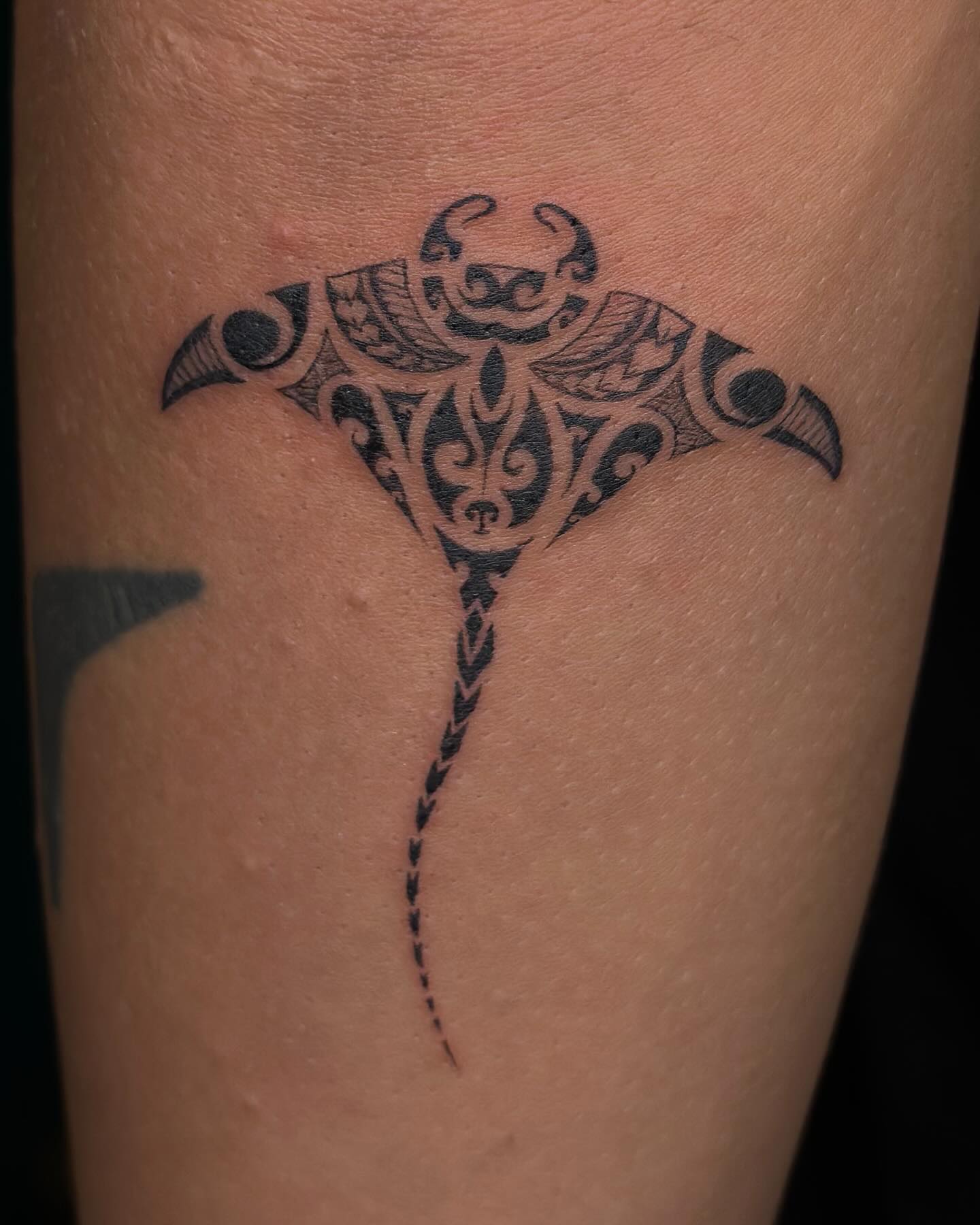 Koi Fish Tattoos: Symbols of Perseverance, Transformation, and Good ...
